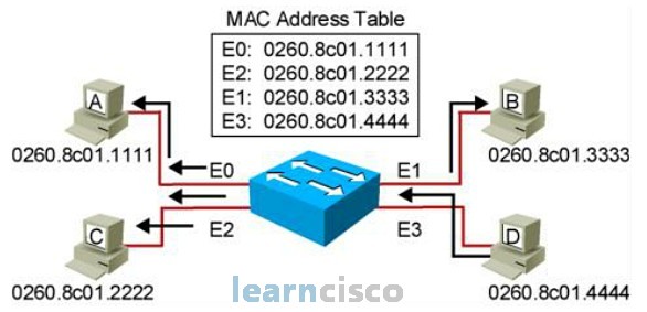 Performance with Spanning-Tree | ICND1 100-105